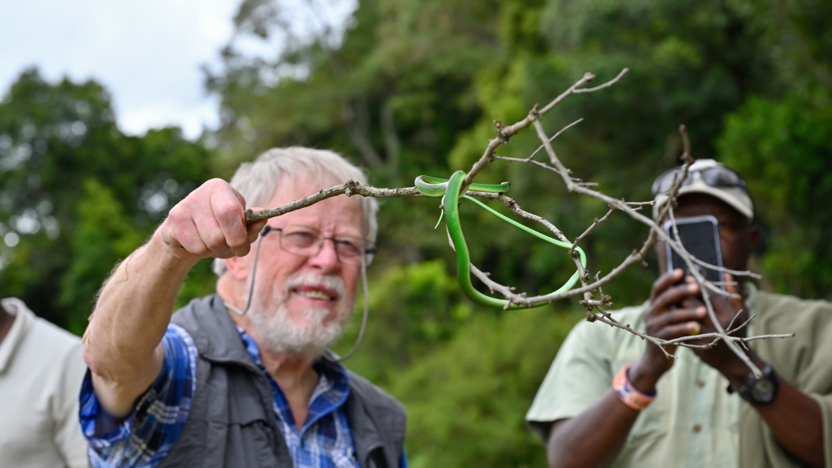 Lecturer helping to improve public health response to snake bites ...
